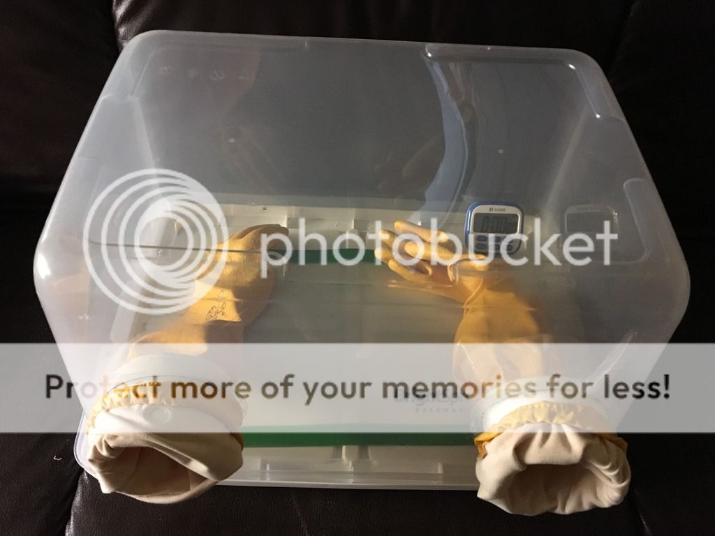 Best way to sterilize the inside of glove box? - FlyTrapCare Forums