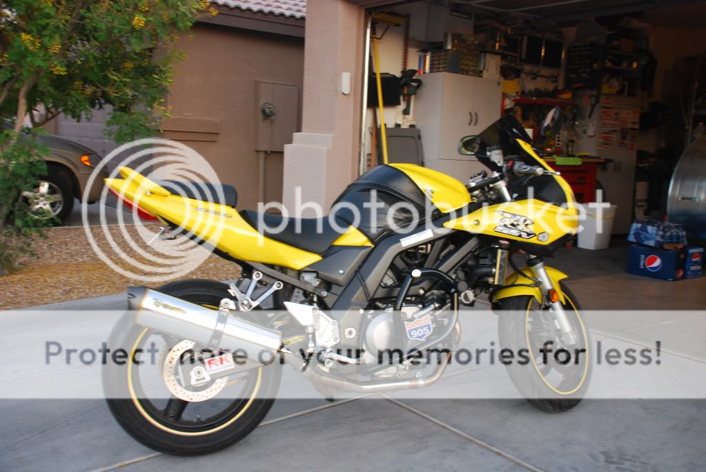 905 race cage? | Suzuki SV650 Riders Forum