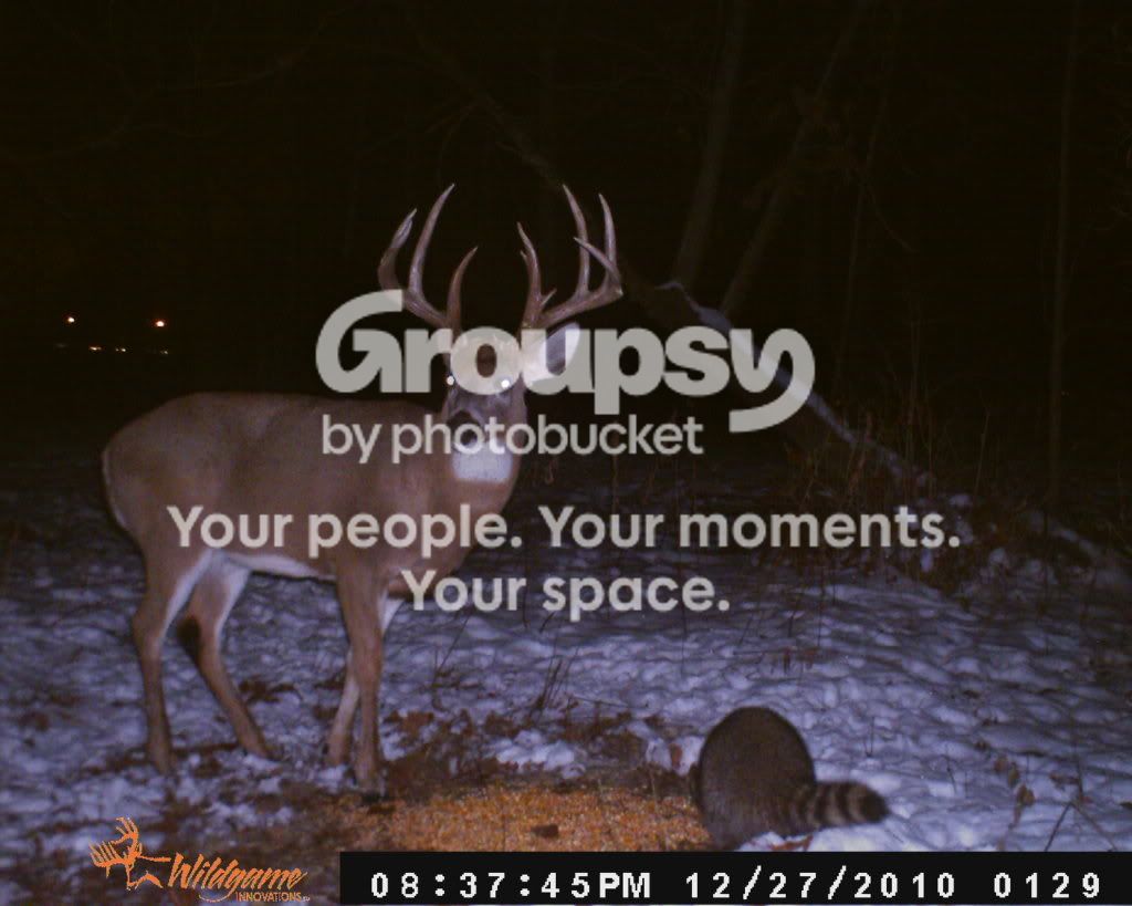 Two ohio monsters | Archery Talk Forum