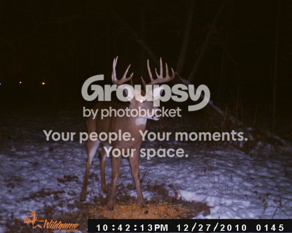 Two ohio monsters | Archery Talk Forum